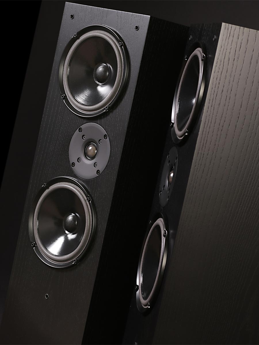 Living Voice Auditorium R25A Cherry